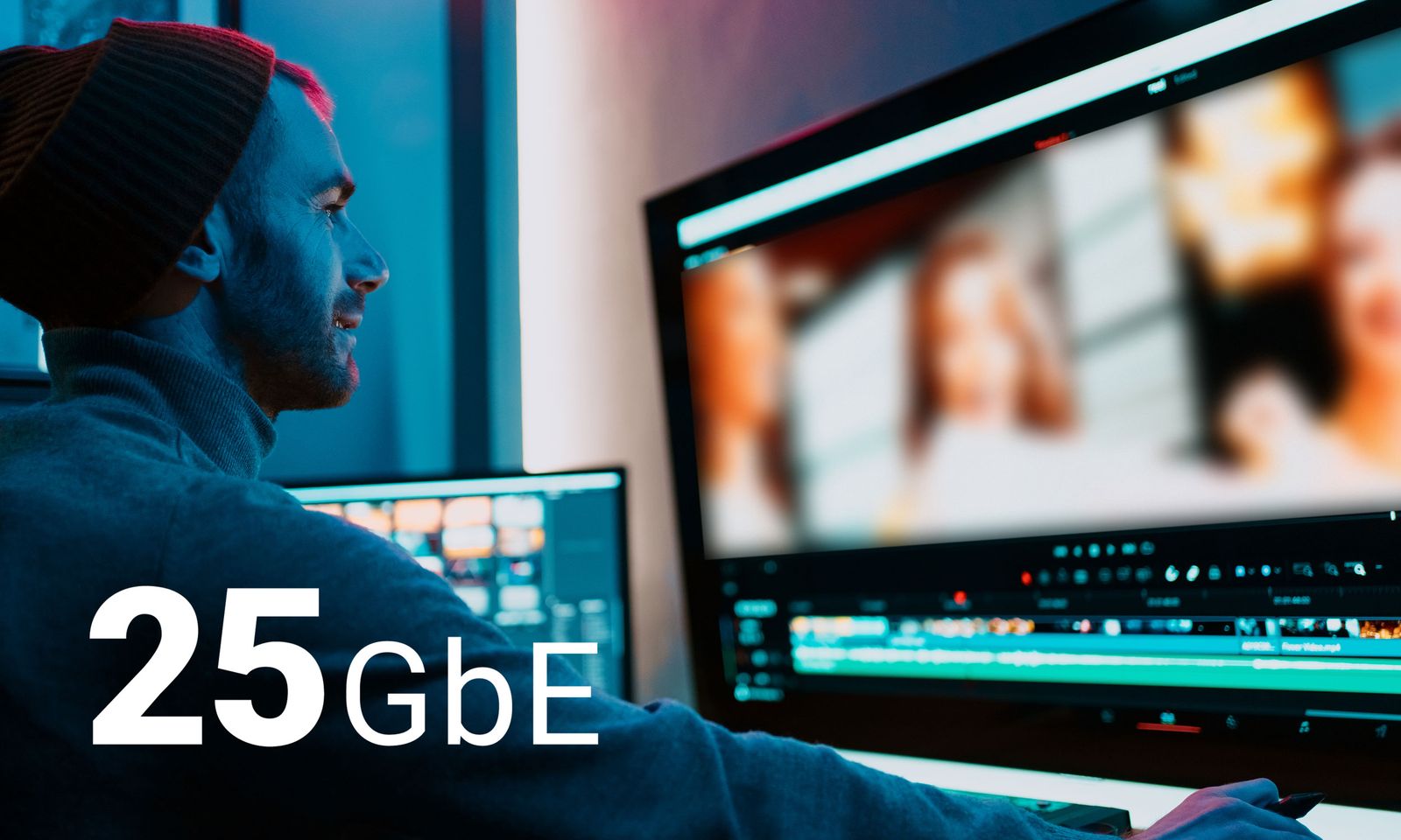 Twin25G PCIe Card (25GbE Networking Card)- Sonnet